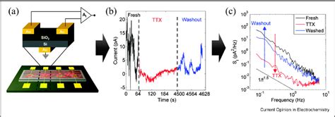Figure 3 From Interpretation Of Stochastic Electrochemical Data