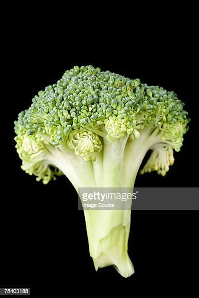 Broccoli Stem Photos And Premium High Res Pictures Getty Images