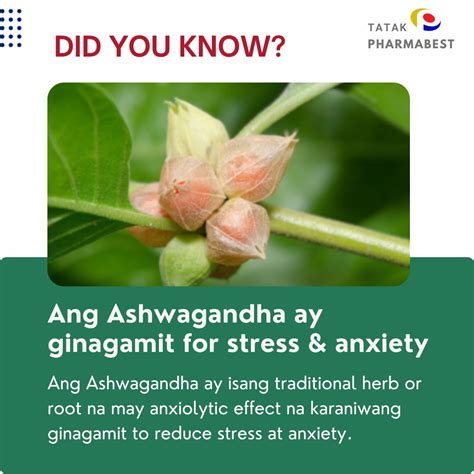 Ang Ecmax Ay Hindi Lang Pharmabest Incorporated