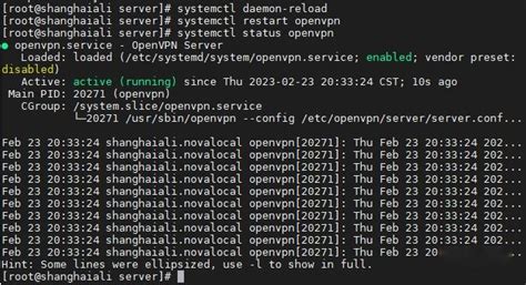 Openvpnsmartdnsopendns Or Smartvpn？ 知乎