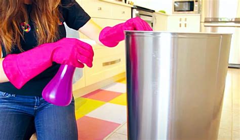 Easy Way To Clean Indoor And Outdoor Trash Cans Diy Joy