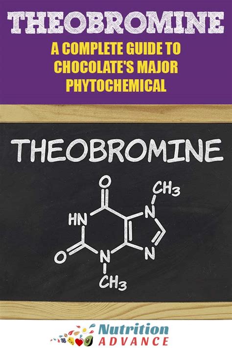 Theobromine Benefits And Side Effects Of Cocoas Interesting Phytochemical