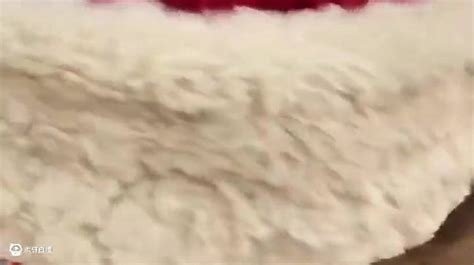 嫩草91 搜索 专找直播 虎牙直播