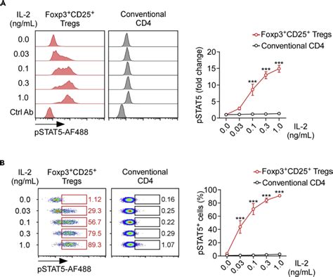 Assessing Il 2 Induced Stat5 Phosphorylation In Fixed Permeabilized