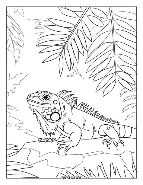 115 Dibujos De Reptiles Para Colorear Para Niños Y Adultos Gratis