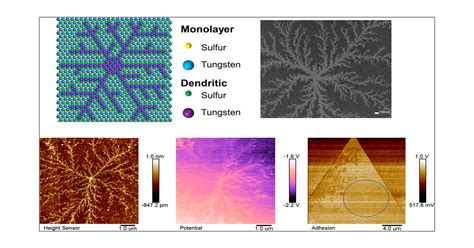 Dendritic Ws2 Nanocrystal Coated Monolayer Ws2 Nanosheet Heterostructures For Phototransistors