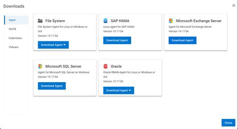 Data Manager Appliance Application Agents Dell Powerprotect Data Manager Appliance Protection
