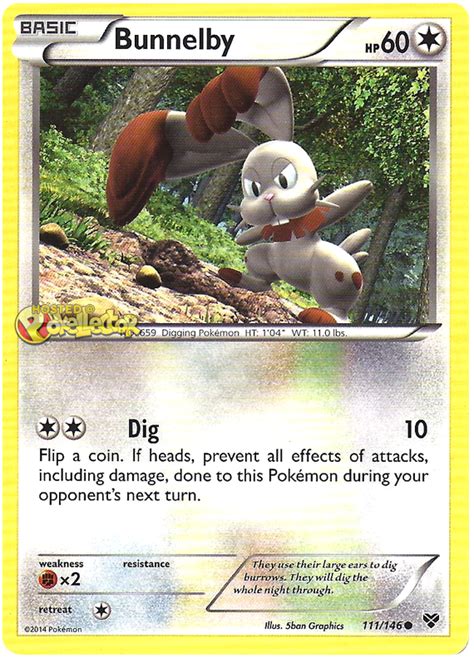 Bunnelby 111 Xy Pokémon Karty