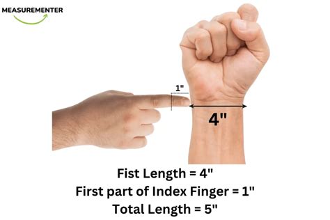 11 Common Things That Are 5 Inches Long Measurementer