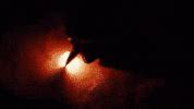 Guy Writing With Fire S Find And Share On Giphy