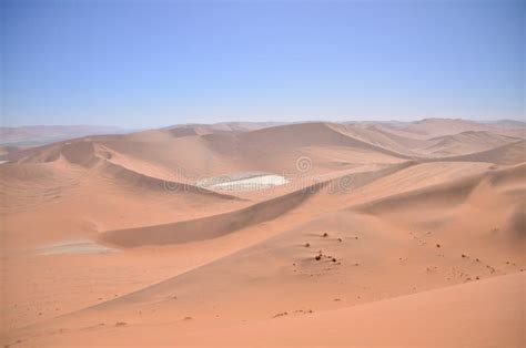 Top Of Dune 45 Big Daddy Sand Dune Namibia Afrika Blue Sky Stock Image