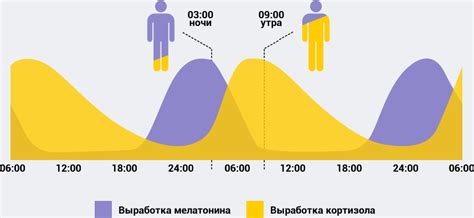 Что такое мелатонин? Как он вырабатывается? И какое влияние отсутствие ...