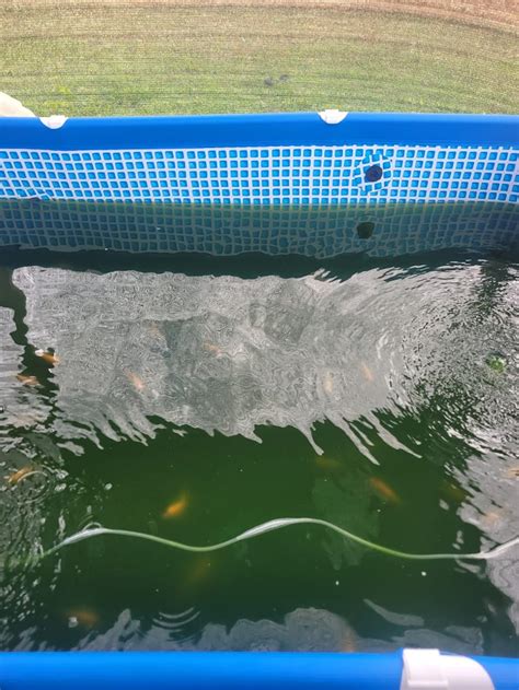 Aquaculture Groups Crfm Data Portal