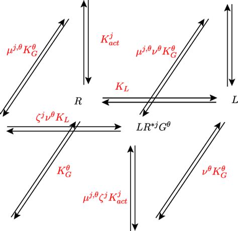 The J θ Receptorg Protein Block Of The Multi Cubic Ternary Complex Download Scientific