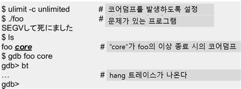 Golang Analyzing Core Dump Generated By Go Program Jacking75