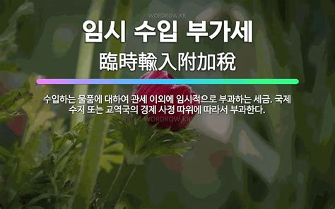 🌟임시 수입 부가세 수입하는 물품에 대하여 관세 이외에 임시적으로 부과하는 세금 국제 수지 또는 교역국 표준국어대사전