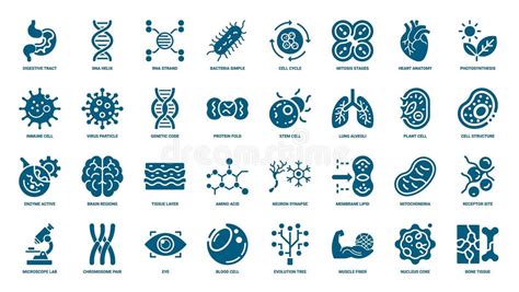 Biology Science Icons Membrane Life Microscope Layer Stock Vector