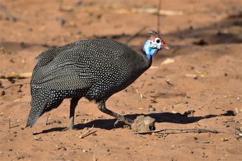 「flickriver」の写真素材 1件の無料イラスト画像 Adobe Stock