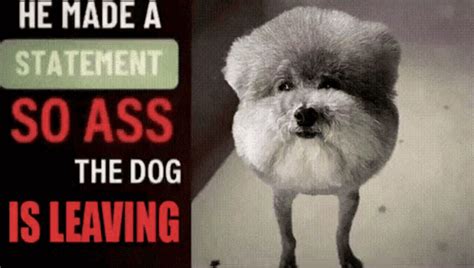 He Made A Statement Dog  He Made A Statement Statement Dog