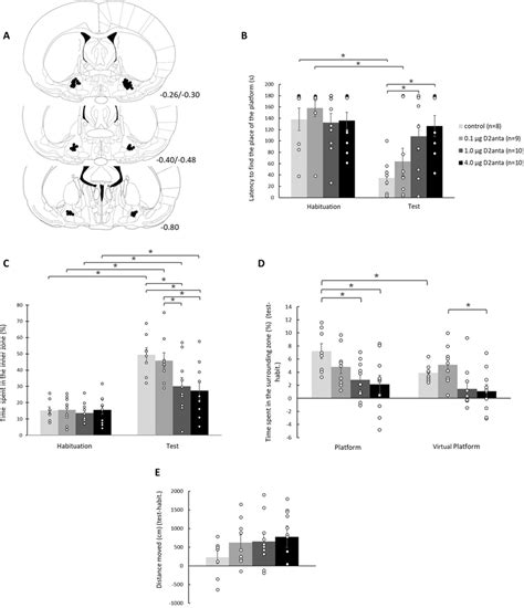 Effect Of Vp Sulpiride Treatment On Spatial Learning In Mwm Test Download Scientific Diagram