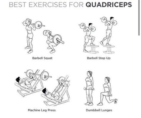 Ejercicios Para Cuadriceps Gym Diario Acoruña