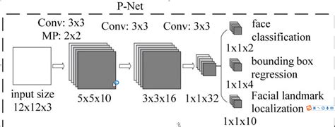 Mtcnn目标检测实战—基于pytorch的人脸检测算法实战mtcnn Pytorch Csdn博客