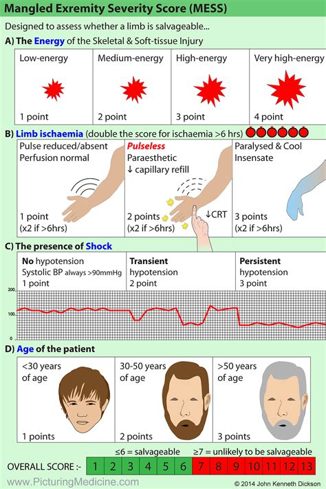 Mess Score Tipsinplasticsurgery
