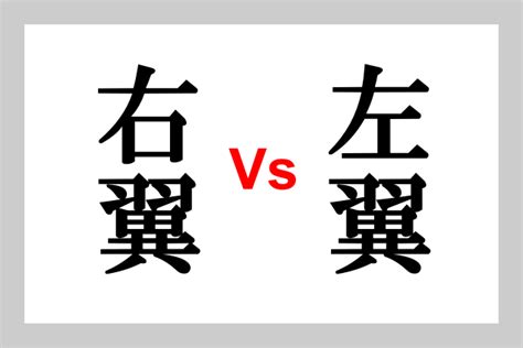 右翼と左翼の違いを初心者向けにわかりやすく説明 アメハチのネットビジネス最初の一歩