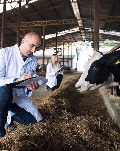 Groupage Export Facilitation Scheme Gefs Revised Guidance And Scheme