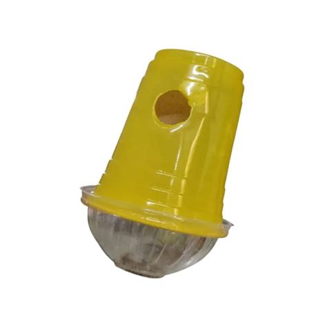 Pheromone Fruit Fly Trap Material Chemical At Best Price In Vadodara Bionule Biotek