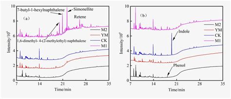 Tic Of Gc Ms Of Experimental Groups Before A And After B Biogenic Download Scientific