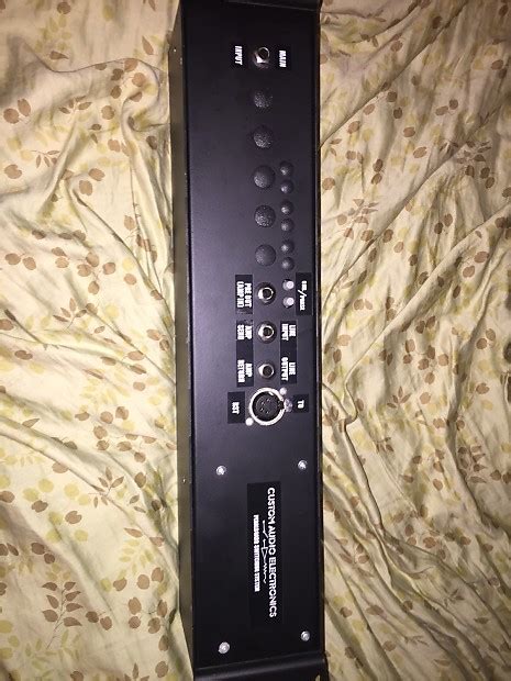 Custom Audio Electronics Guitar Interface Reverb