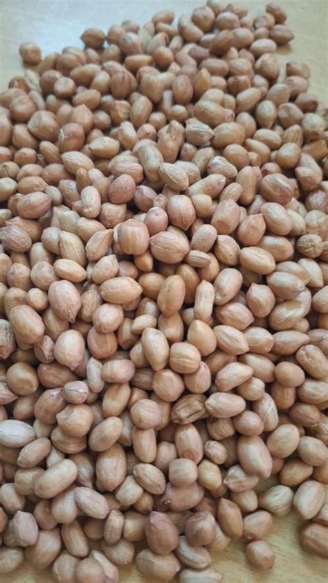 Type Whole With Skin Peanuts Tj Ground Nuts 50 Kg At Rs 96kg In