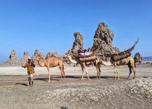 Lake Assal Djibouti Wonders Explore Stunning Natural Beauty