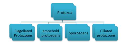 This Topic Is Going To Be A Part Of Your Aipmt Exam This Year Yes It