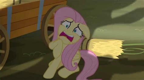 Mlp Fluttershy Crying
