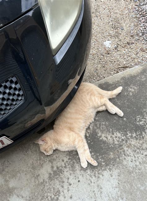 My Classmate From Grade 3 Rmyclassmatefromgrade3