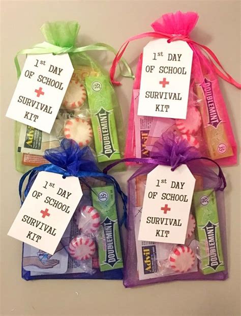 Camp Survival Kit For Teachers At Etta Mcleod Blog