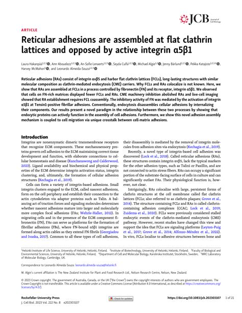 Pdf Reticular Adhesions Are Assembled At Flat Clathrin Lattices And