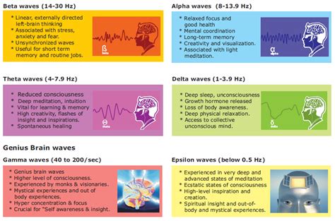 Types Of Brain Waves Frequencies Vbctn