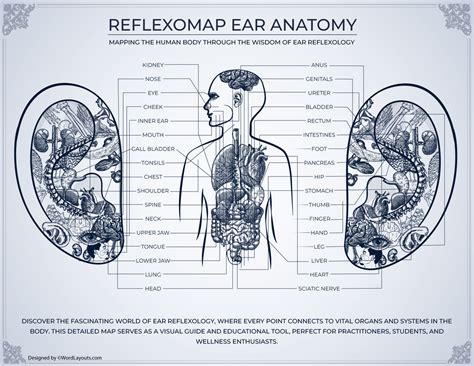 Hand Reflexology Points And Organs Wordlayouts