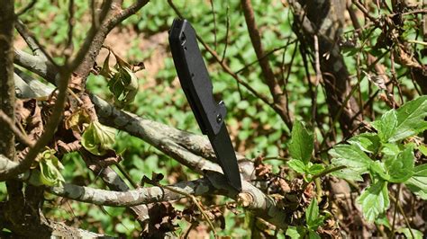 Understanding California Knife Laws Can A Minor Carry A Pocket Knife Ht Pocket Knife