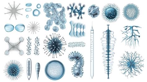 Various Microorganisms And Cells Illustrated In Blue Representing