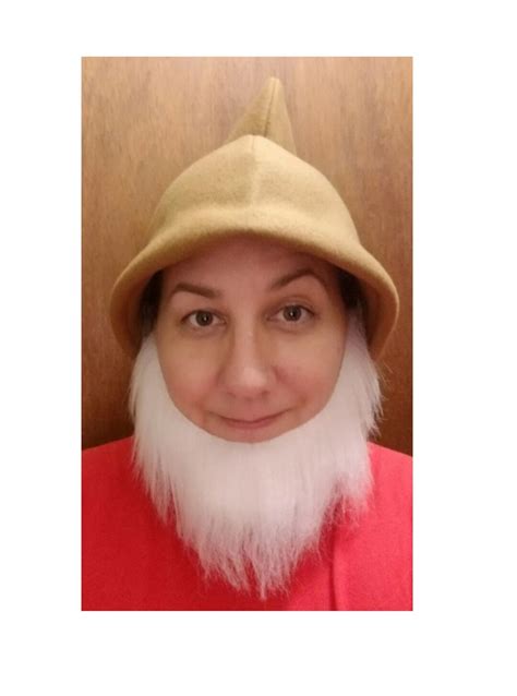 7 Dwarfs Beards Doc Grumpy Sneezy Happy Bashful Sleepy White Beard