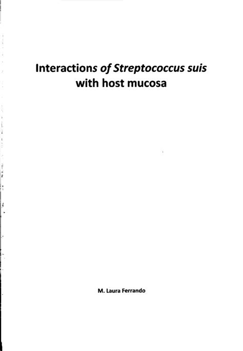 Pdf Interactions Of Streptococcus Suis With Host Mucosa