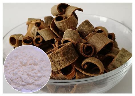 90 95 Magnolia Bark Extract Magnolia Officinalis L Powder No