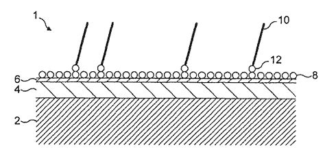 Molecular Conformation Biosensing Eureka Patsnap