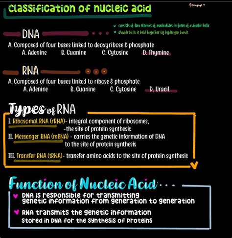 Nucleic Acid Biochemistry Notes