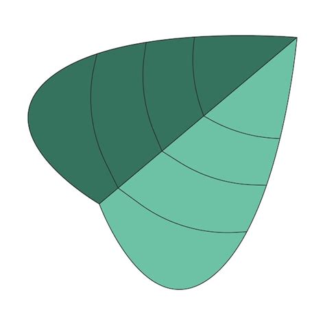 Leaf Plant Part Shape Images Free Download On Freepik