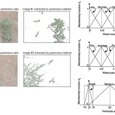 PDF Fuzzy Logic Systems And Applications In Agro Industrial Engineering And Technology